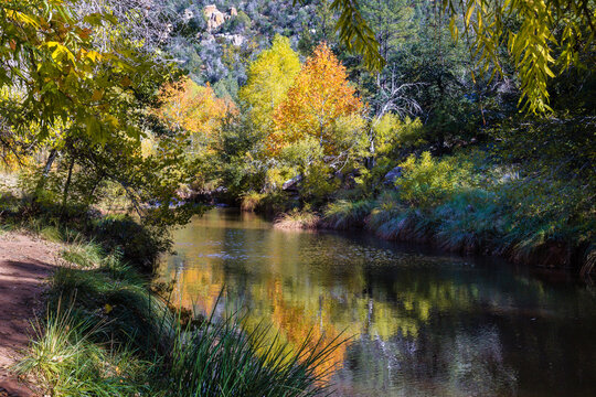 รูปภาพEllison – เลือกดูภาพถ่ายสต็อก เวกเตอร์ และวิดีโอ269 | Adobe Stock