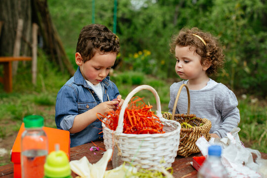 Miss Alva photos, images, assets | Adobe Stock