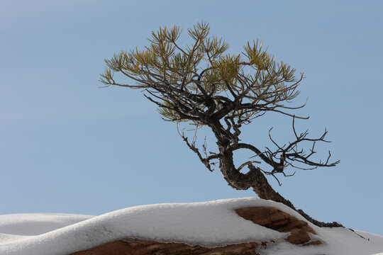 Predominate Images – Browse 19,595 Stock Photos, Vectors, and Video ...