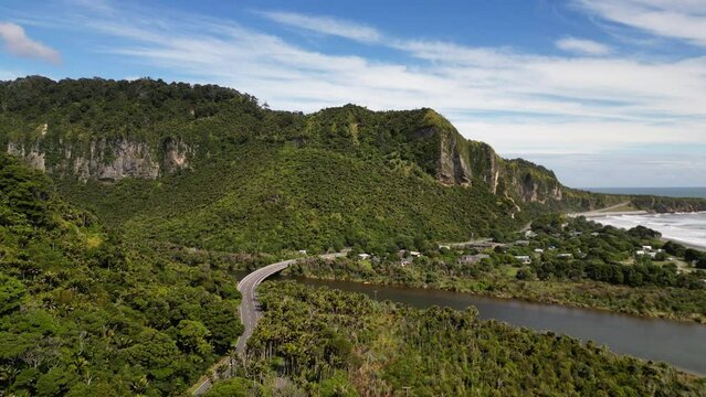 "Nikau Palm" Images – Browse 257 Stock Photos, Vectors, and Video ...