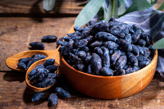 รูปภาพKinnip – เลือกดูภาพถ่ายสต็อก เวกเตอร์ และวิดีโอ3,266 | Adobe Stock