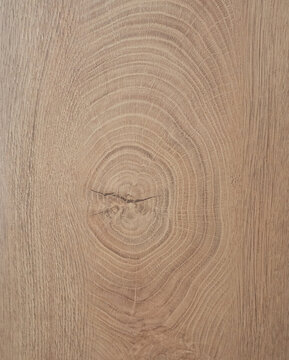 Imágenes de Rovere: descubre bancos de fotos, ilustraciones, vectores y ...