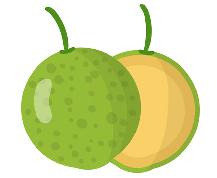 Kinnip Bilder – Durchsuchen 3,122 Archivfotos, Vektorgrafiken und ...