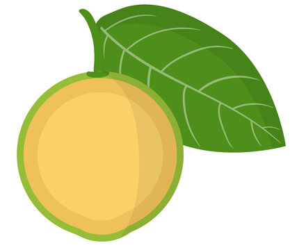 รูปภาพKinnip – เลือกดูภาพถ่ายสต็อก เวกเตอร์ และวิดีโอ3,266 | Adobe Stock