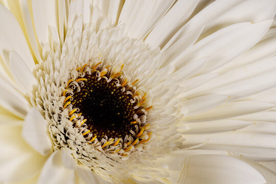 Ferbera Images – Browse 12 Stock Photos, Vectors, and Video | Adobe Stock