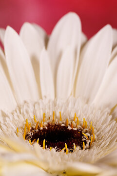 Ferbera Images – Browse 12 Stock Photos, Vectors, and Video | Adobe Stock