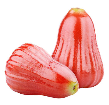 รูปภาพJamalac – เลือกดูภาพถ่ายสต็อก เวกเตอร์ และวิดีโอ2,352 | Adobe Stock