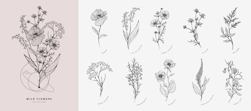 Wedding Invite Flowers Images – Browse 183,960 Stock Photos, Vectors ...