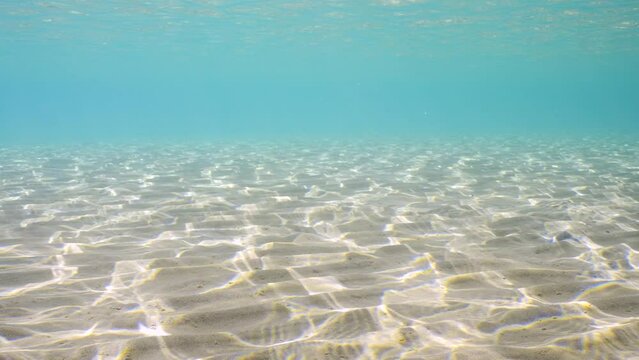 Shallow Images – Browse 496,645 Stock Photos, Vectors, and Video ...