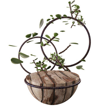 dfsw photos, images, assets | Adobe Stock