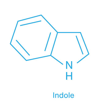 Afbeeldingen over Indole – Blader in stockfoto's, vectoren en video's ...