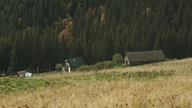 Ferm Images – Browse 770 Stock Photos, Vectors, and Video | Adobe Stock