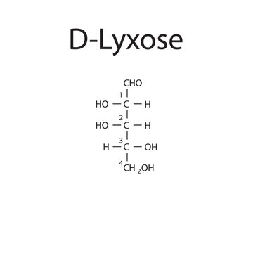 D Lyxose