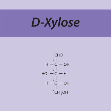 D Xylose