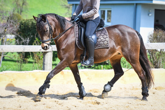 Cloping Bilder – Durchsuchen 4,304 Archivfotos, Vektorgrafiken und ...