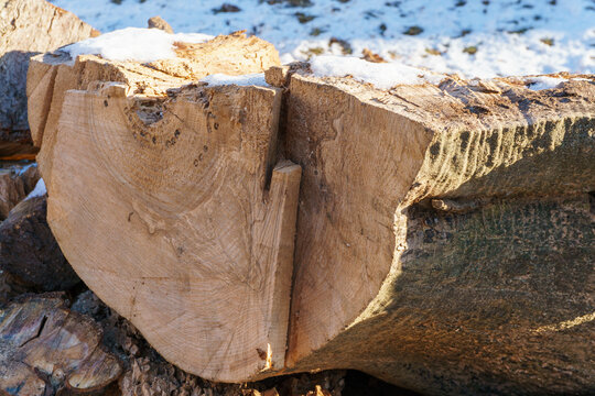 รูปภาพSevered – เลือกดูภาพถ่ายสต็อก เวกเตอร์ และวิดีโอ171,457 | Adobe Stock