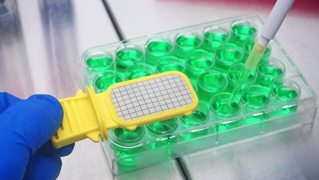 One-Time Images – Browse 1,347 Stock Photos, Vectors, and Video | Adobe ...