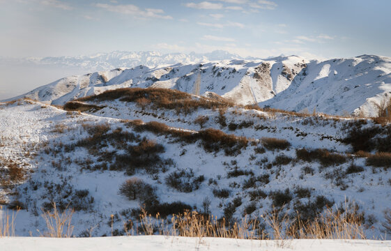 Arman Zhenikeyev photos, images, assets | Adobe Stock