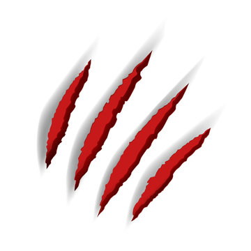 Griffure Images – Browse 60 Stock Photos, Vectors, and Video | Adobe Stock