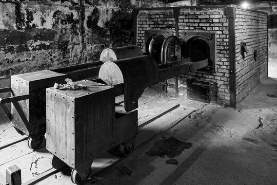 Auswitch Bilder – Durchsuchen 1,948 Archivfotos, Vektorgrafiken und ...
