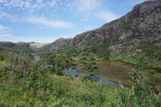 รูปภาพFelse – เลือกดูภาพถ่ายสต็อก เวกเตอร์ และวิดีโอ290 | Adobe Stock