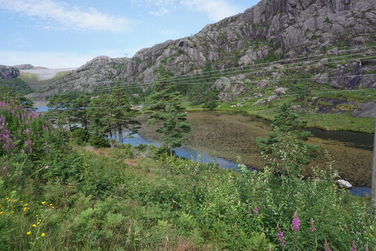 รูปภาพFelse – เลือกดูภาพถ่ายสต็อก เวกเตอร์ และวิดีโอ290 | Adobe Stock