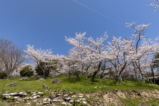 「燧灘」の写真素材 | 331件の無料イラスト画像 | Adobe Stock