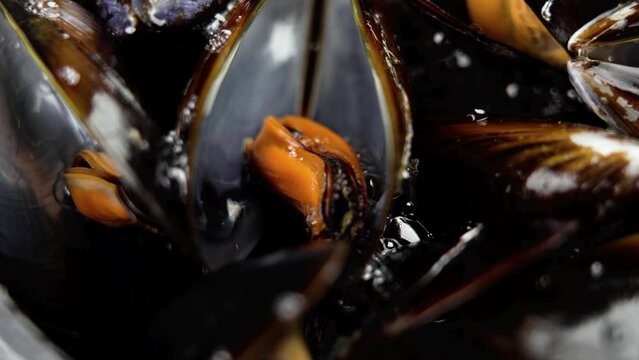 "Sea Mussels" Images – Browse 5,972 Stock Photos, Vectors, and Video ...