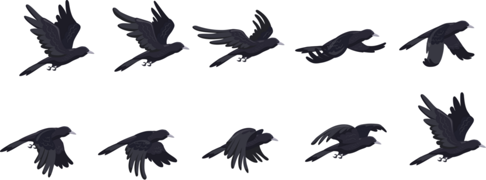 Crows Flying Vector
