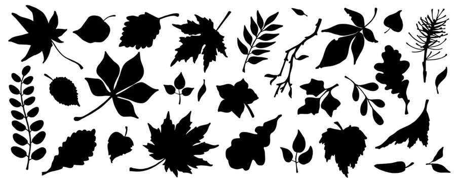 Fall Leaf Silhouette