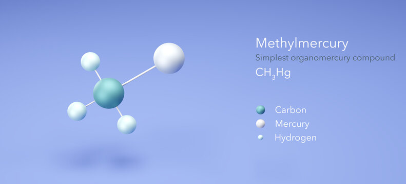 Methylmercury Images – Browse 52 Stock Photos, Vectors, and Video ...
