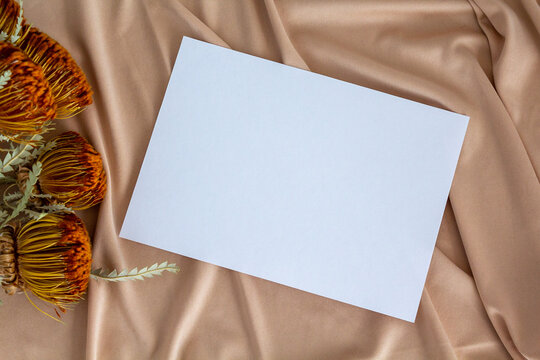 「5X7 Backdrop」の写真素材 | 270件の無料イラスト画像 | Adobe Stock