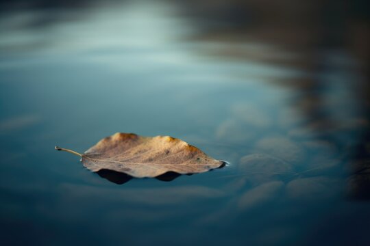 Restfulness Billeder – Gennemse 586 stockfotos, vektorer og videoer ...