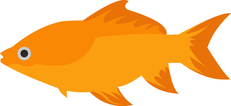 "Cod Fish" Bilder – Durchsuchen 2,906 Archivfotos, Vektorgrafiken und ...