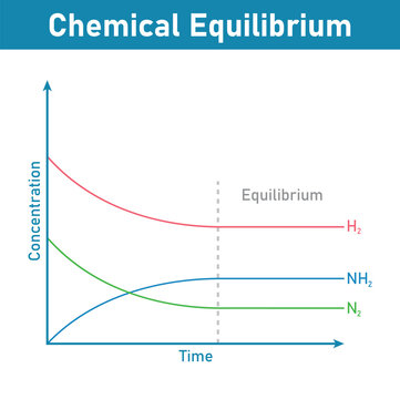 Equilibrium