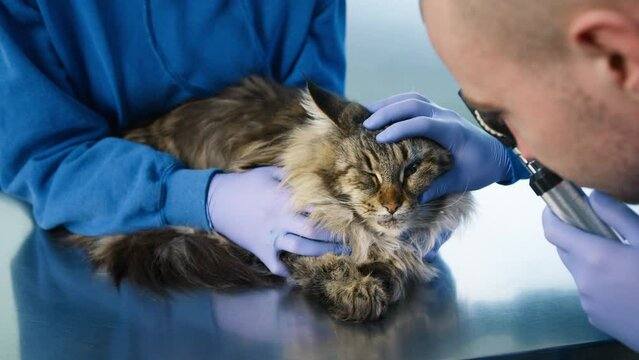 Praxisteam Bilder – Durchsuchen 2,576 Archivfotos, Vektorgrafiken und ...