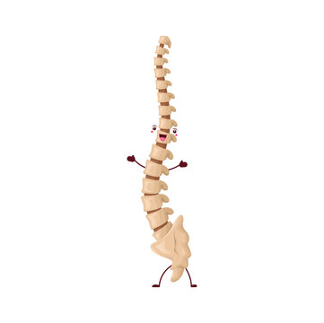 Spinal Cord Cartoon Brain And Spinal Cord Vector Art, Icons, And