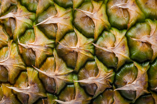 "Pineapple Texture" Bilder – Durchsuchen 227 Archivfotos ...