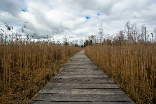 Bad Path Bilder – Durchsuchen 10,993 Archivfotos, Vektorgrafiken und ...