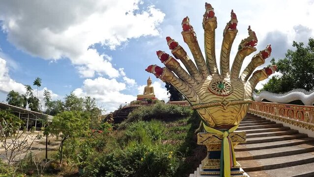 Daeng Images – Browse 1,921 Stock Photos, Vectors, and Video | Adobe Stock