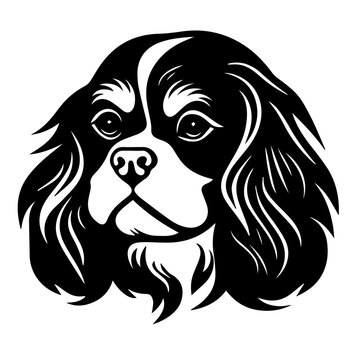 Cavalier Vector Bilder – Durchsuchen 3,531 Archivfotos, Vektorgrafiken ...