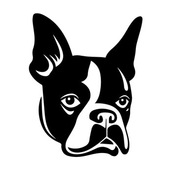 Boston Terrier Logo Images – Browse 694 Stock Photos, Vectors, and ...