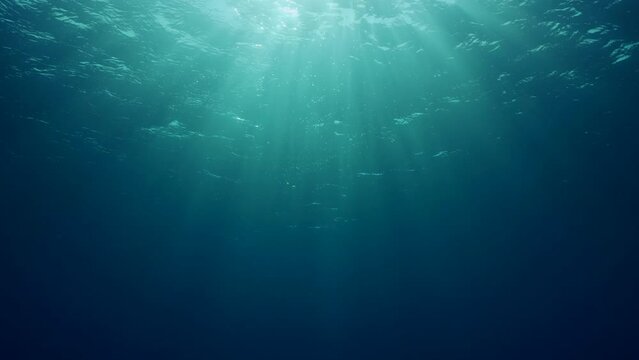 "Bottom View" Images – Browse 22,369 Stock Photos, Vectors, and Video ...