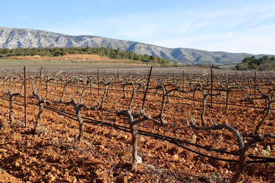 megara68 photos, images, assets | Adobe Stock