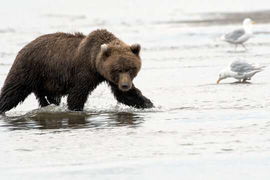 Tom photos, images, assets | Adobe Stock