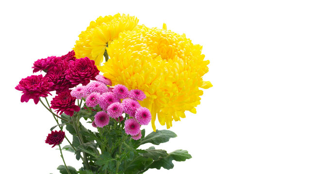Mums Images – Browse 3,843,863 Stock Photos, Vectors, and Video | Adobe ...
