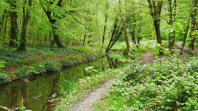 รูปภาพRuisseau – เลือกดูภาพถ่ายสต็อก เวกเตอร์ และวิดีโอ40,284 | Adobe Stock