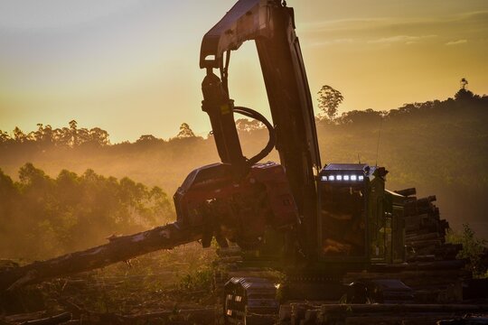 "Logging Machine" Images – Browse 806 Stock Photos, Vectors, and Video ...