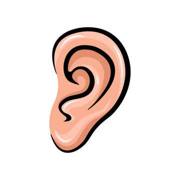 Ear Clipart Images