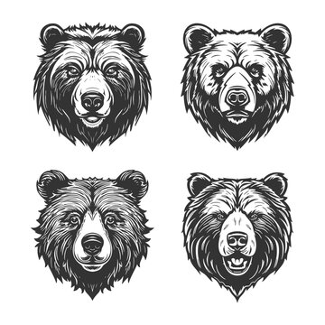 Free Bear Images – Browse 6,082 Free Stock Photos, Vectors, and Video ...